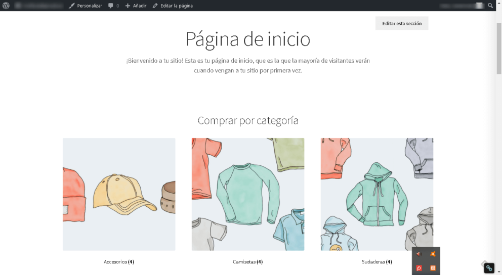 Cómo crear una tienda online Exitosa (15 Pasos verificados)